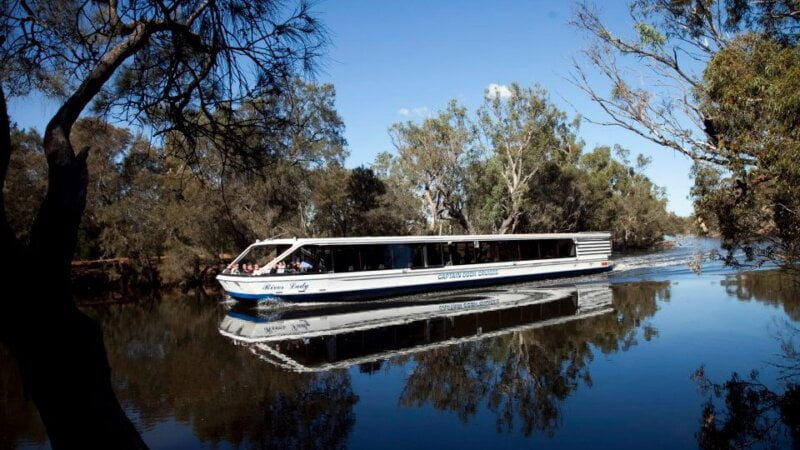 Captain Cook Cruises | CRUISESynergy