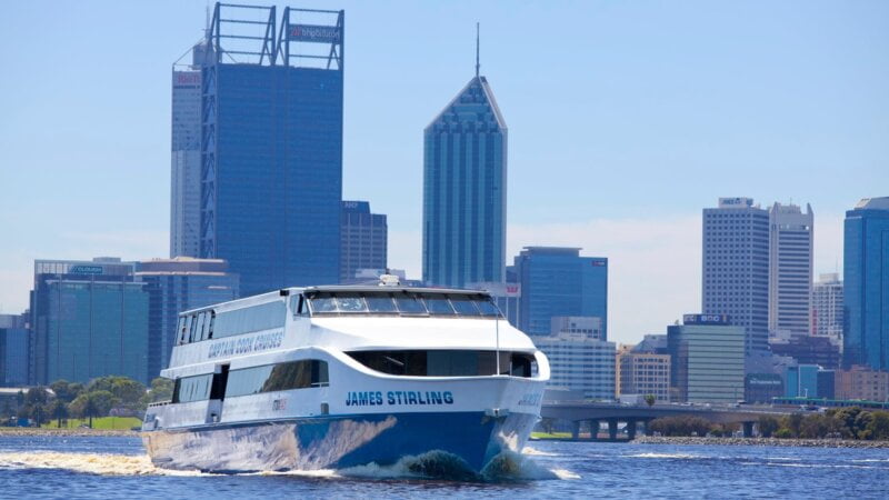 Captain Cook Cruises - CRUISESynergy